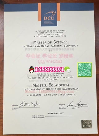 Dublin City University Diploma Degree Transcript | PDF