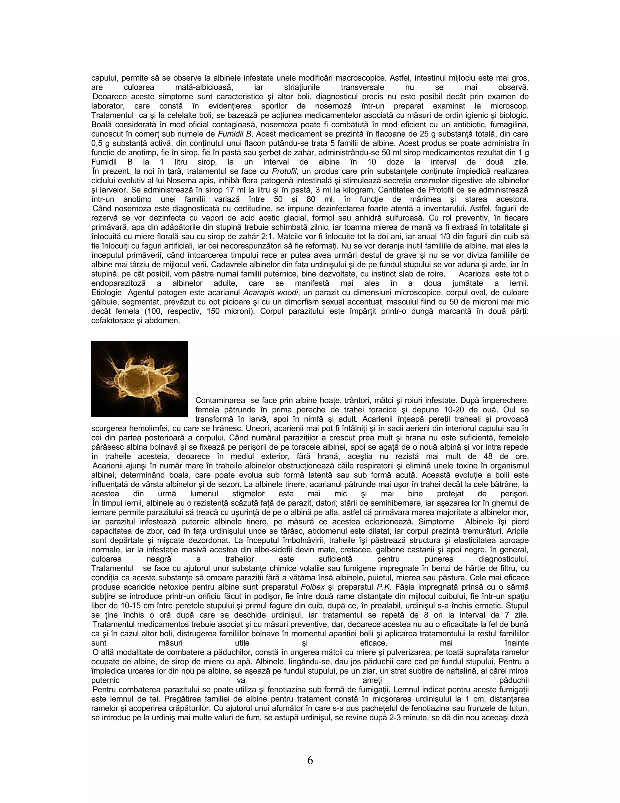 99179955 manual-de-apicultura-1 | PDF