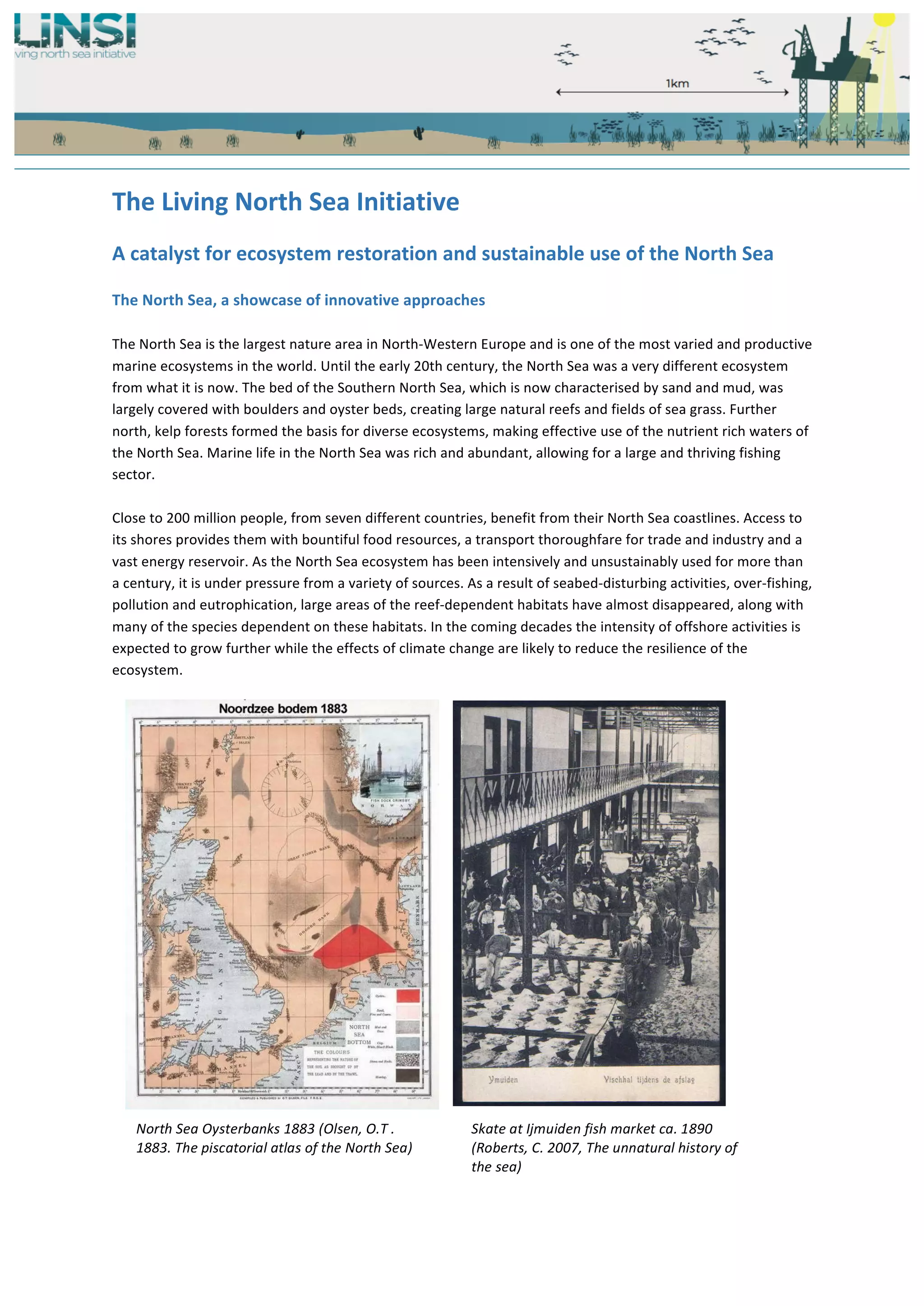 Narrative Living North Sea Initiative | PDF