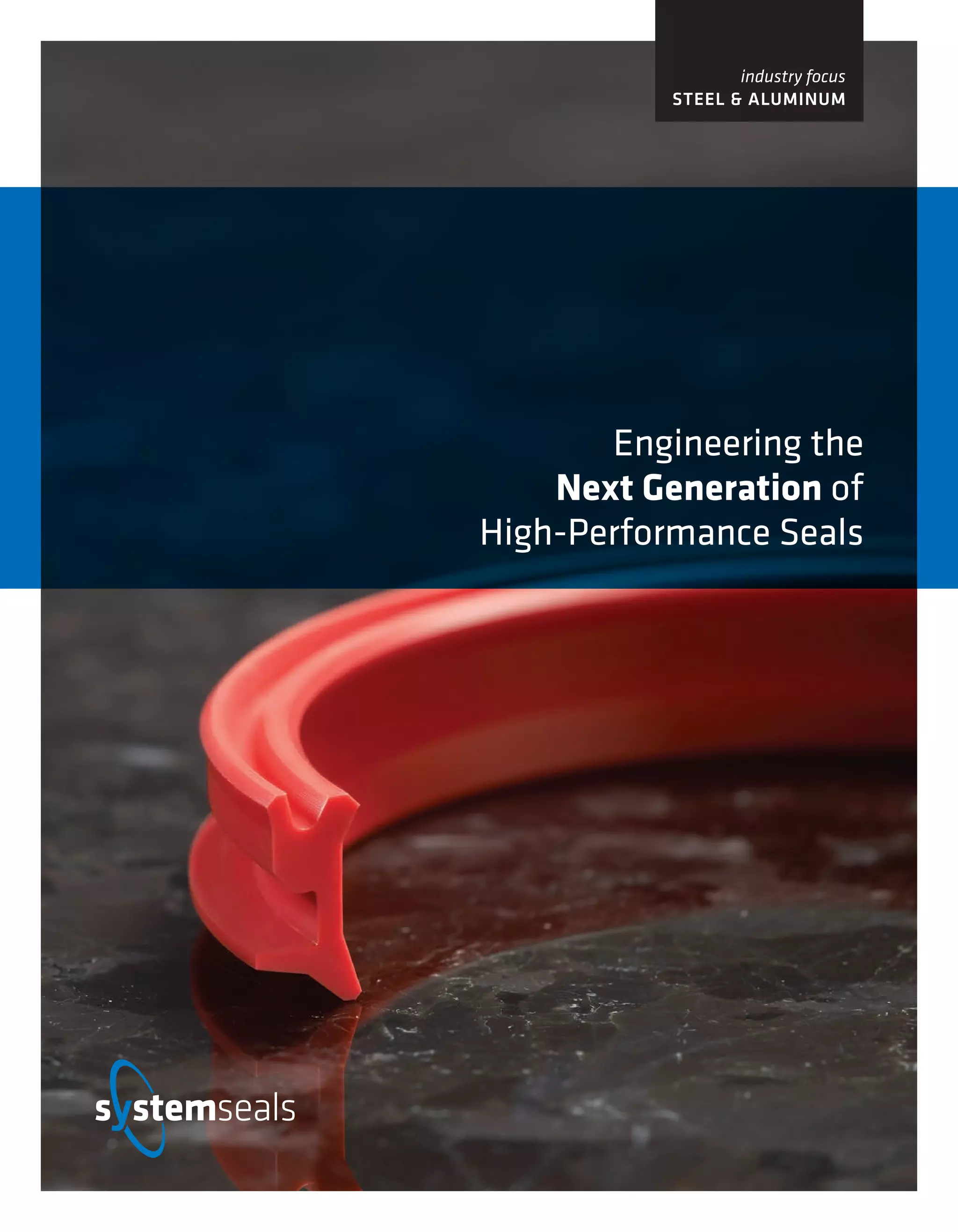 System Seals Steel Brochure | PDF