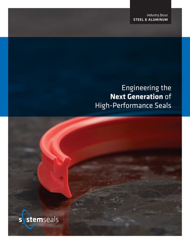 System Seals Steel Brochure | PDF