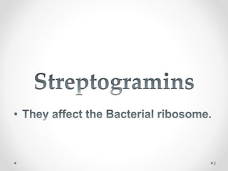 streptogramin final | PPTX