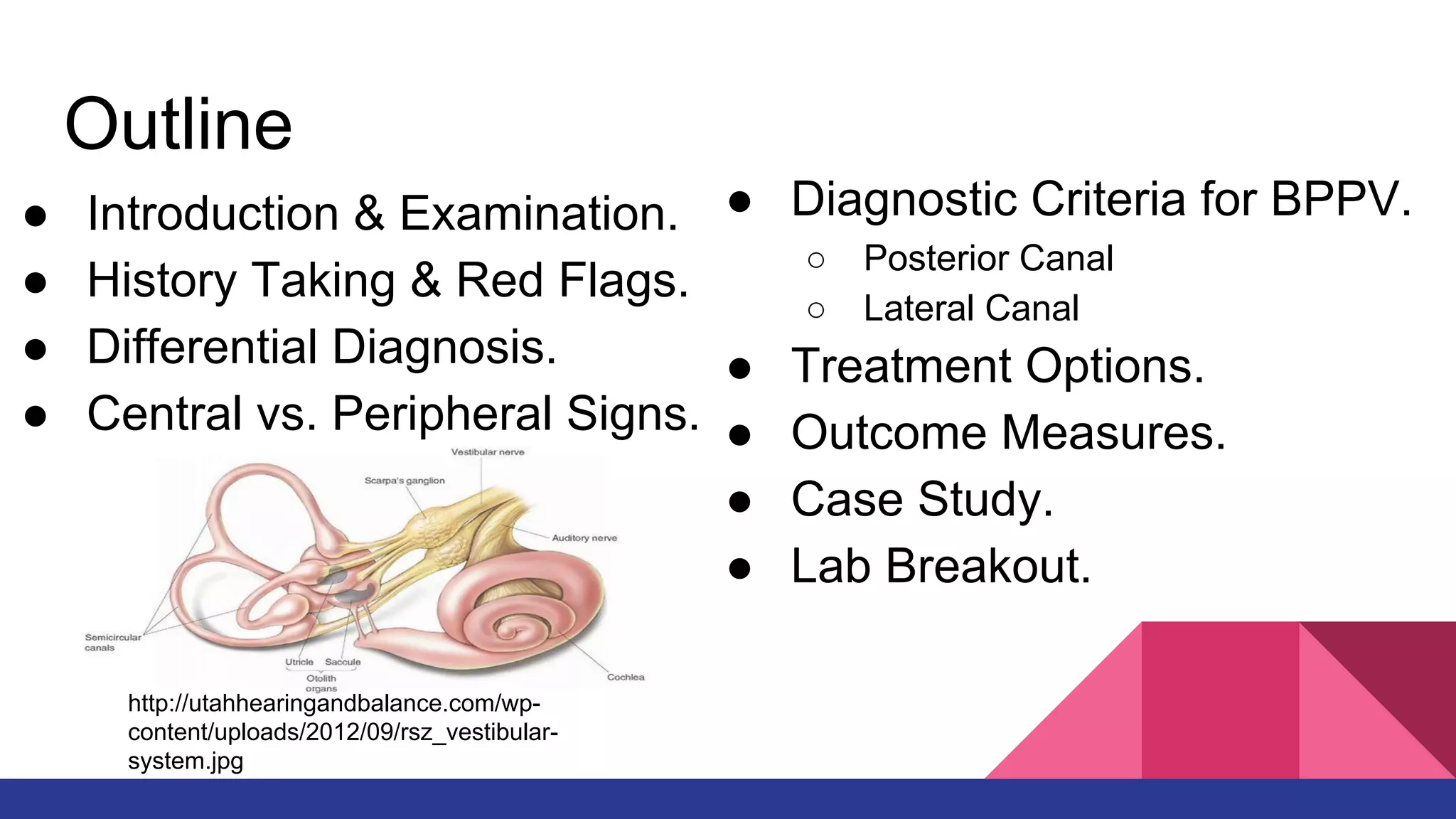 Vestibular Rehabilitation | PDF