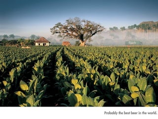 Carlsberg Ad | PPS