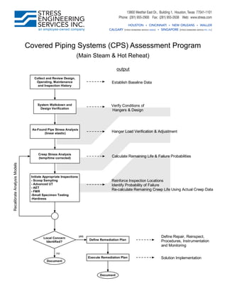 SES CPS Assessment Program v4 | PDF