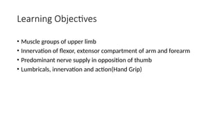 995_Upper_limb_muscles_and_Innervation.pptx