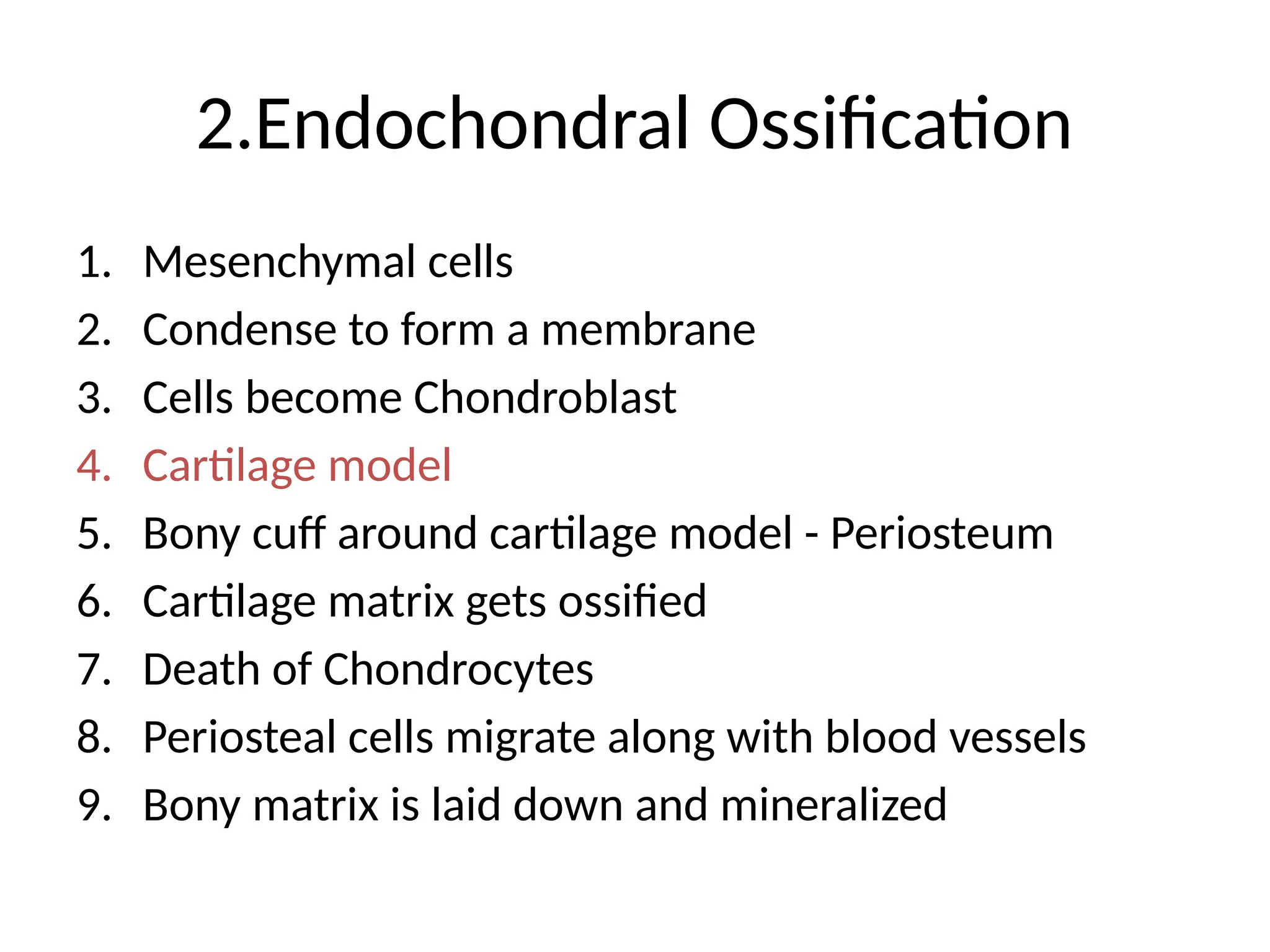 histology of bone first year anatomy.pptx