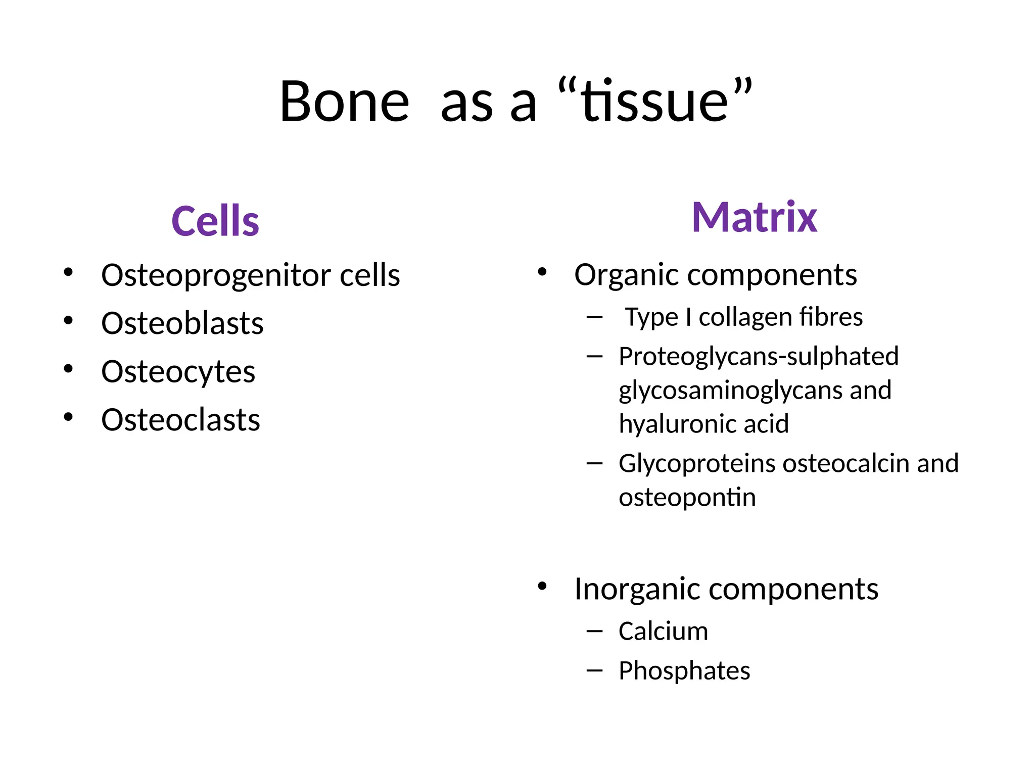 histology of bone first year anatomy.pptx