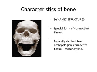 histology of bone first year anatomy.pptx