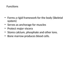 histology of bone first year anatomy.pptx