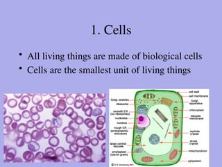 997593vabBZsanmnAKJFTGFGHNMNMNXGYUJ3.ppt