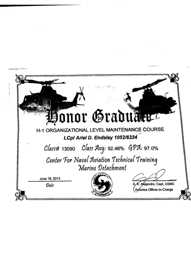 ariel endsley awards | PDF