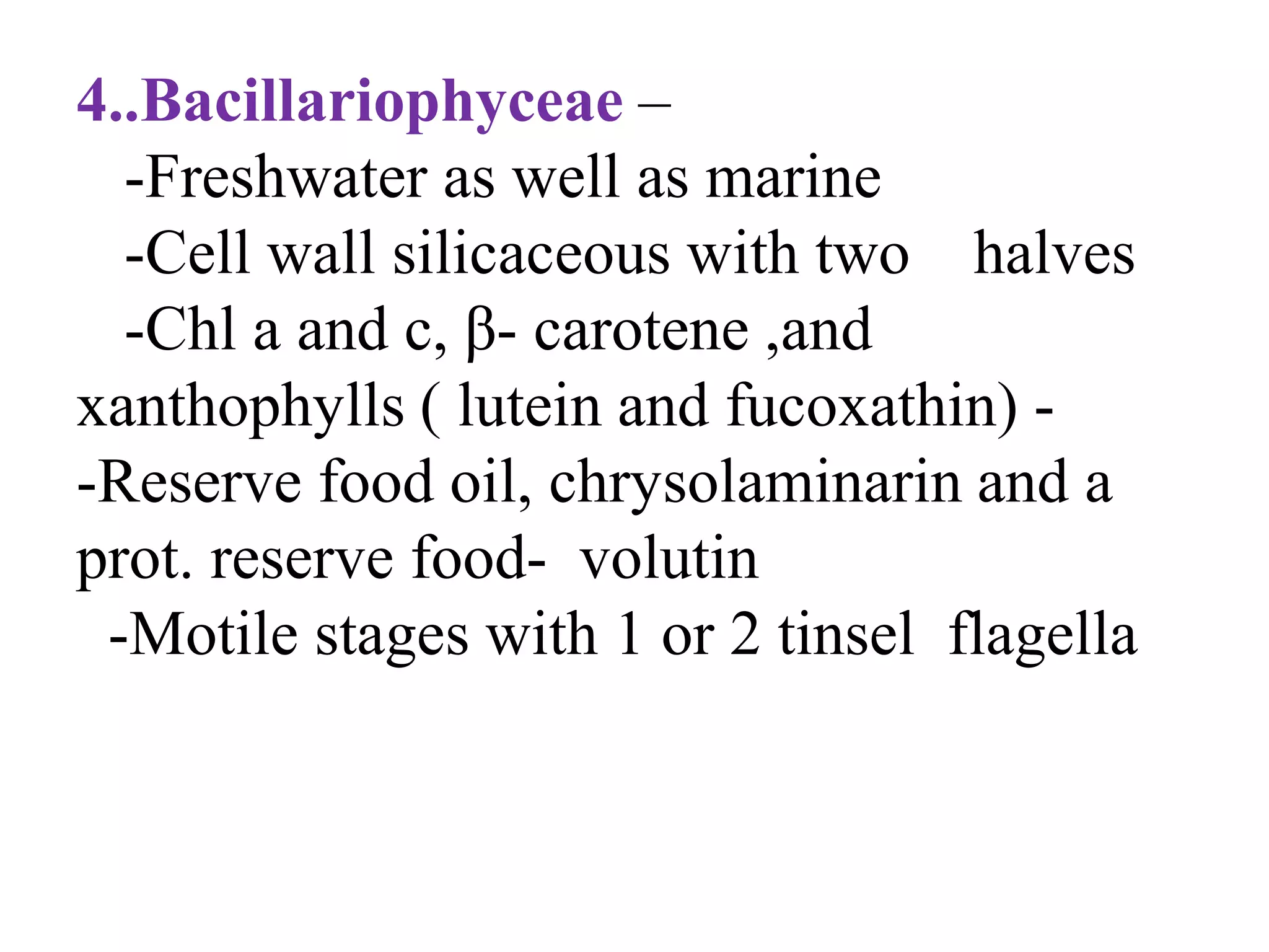 Classification of Algae | PPT