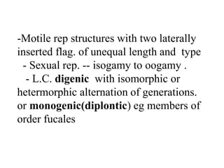 Classification of Algae | PPT
