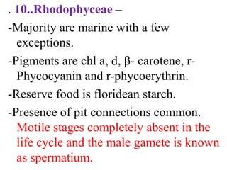 Classification of Algae | PPT
