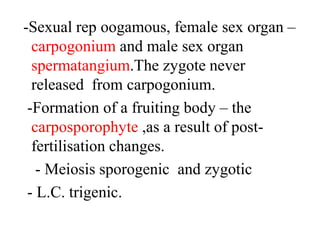 Classification of Algae | PPT
