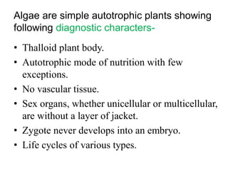 Classification of Algae | PPT