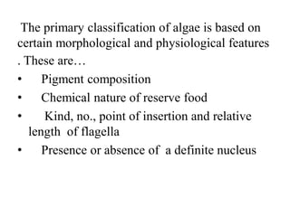 Classification of Algae | PPT