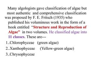 Classification of Algae | PDF