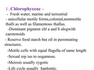 Classification of Algae | PPT