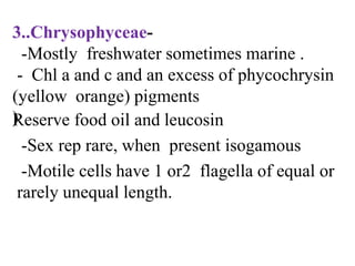Classification of Algae | PDF