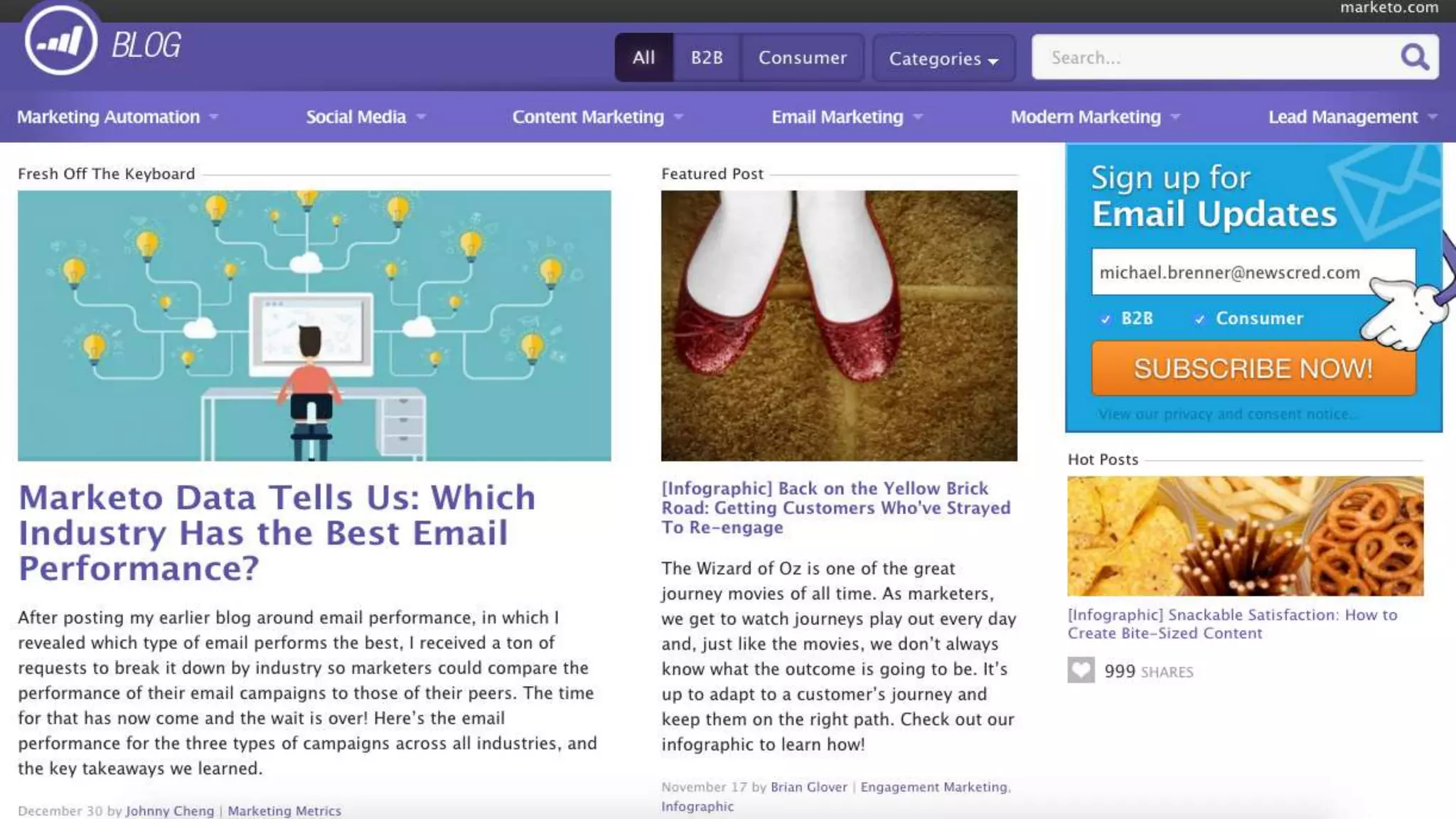 99 Amazing Content Marketing Hub Examples | PPT
