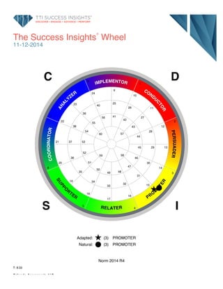 Ho Bryan_TTI Success Insights_Interviewing Insights_Sales | PDF