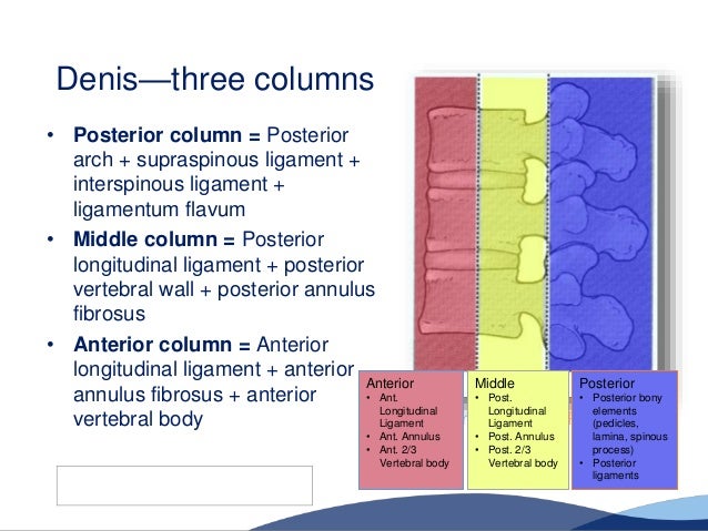 2017.01.25, Howard, LS-Spine