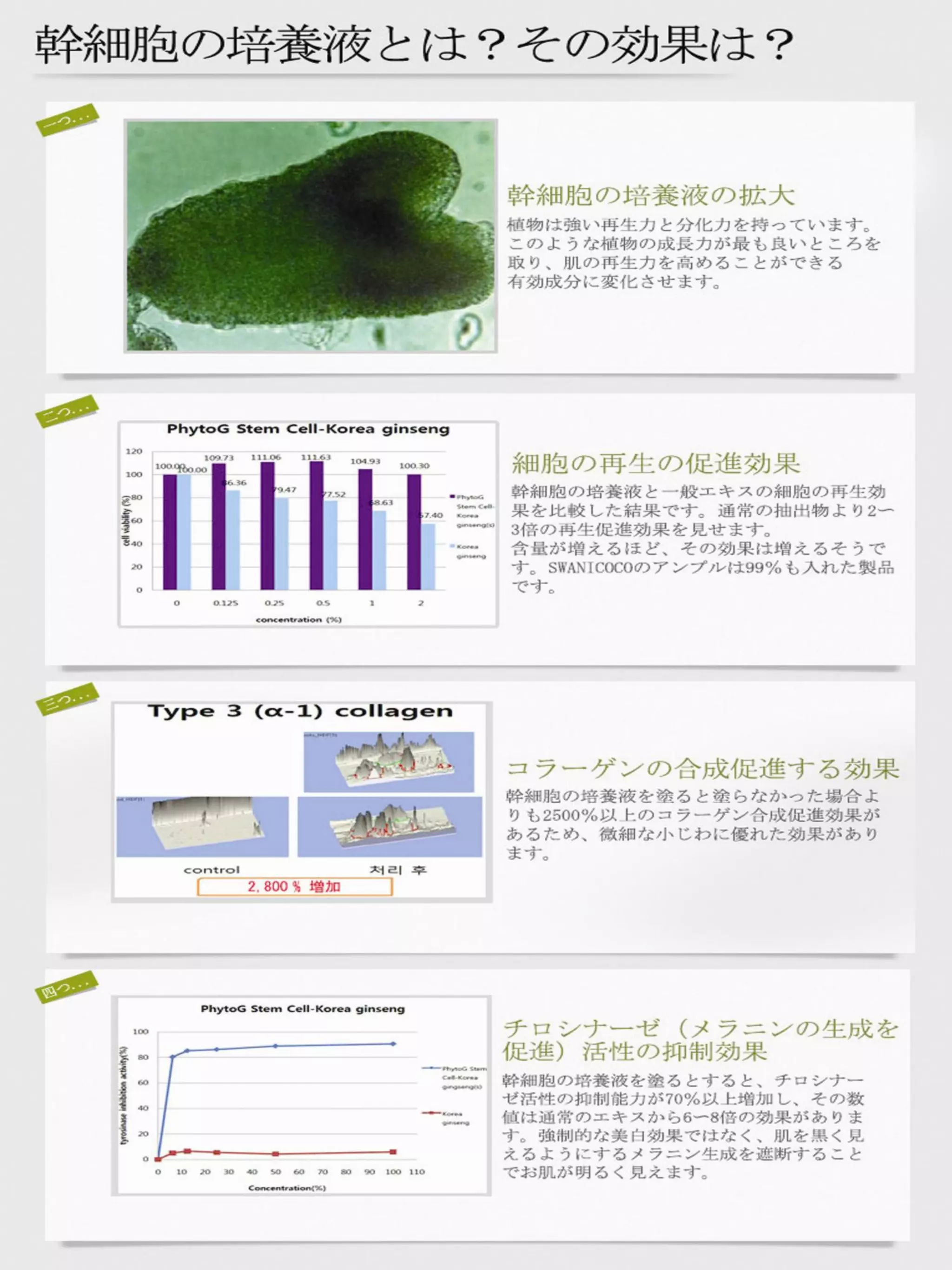 99% stem cell catalog | PDF