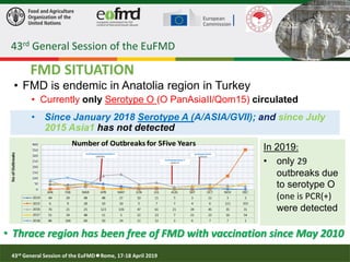 GS43_9a. Turkey FMD and FAST situation | PDF