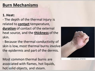 9(a). burns.pdf