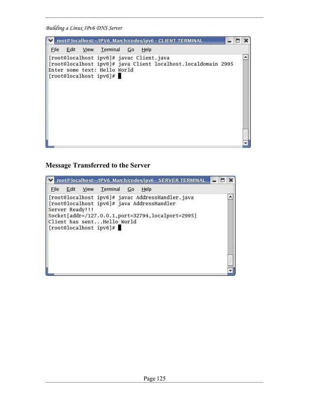 Screen Shots of Building IPv6 DNS Server (Screen shots) | PDF