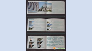 Brochures | PPT | Free Download
