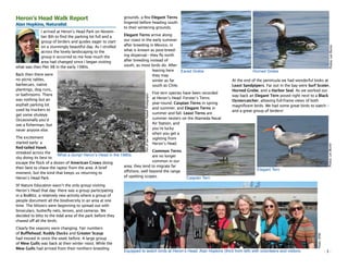 2014dec_newsletter | PPT