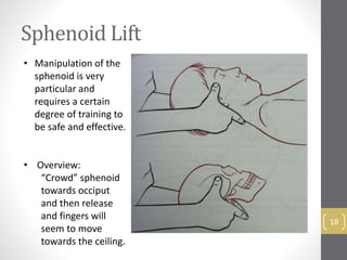 Craniosacral Inservice | PPTX