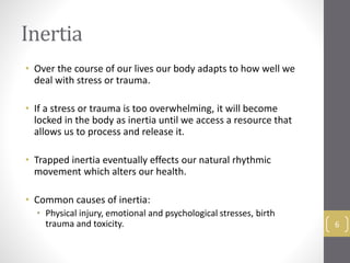 Craniosacral Inservice | PPTX