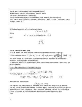Trust Region Algorithm - Bachelor Dissertation | DOCX