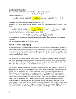 Trust Region Algorithm - Bachelor Dissertation | DOCX