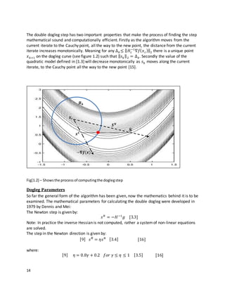 Trust Region Algorithm - Bachelor Dissertation | DOCX