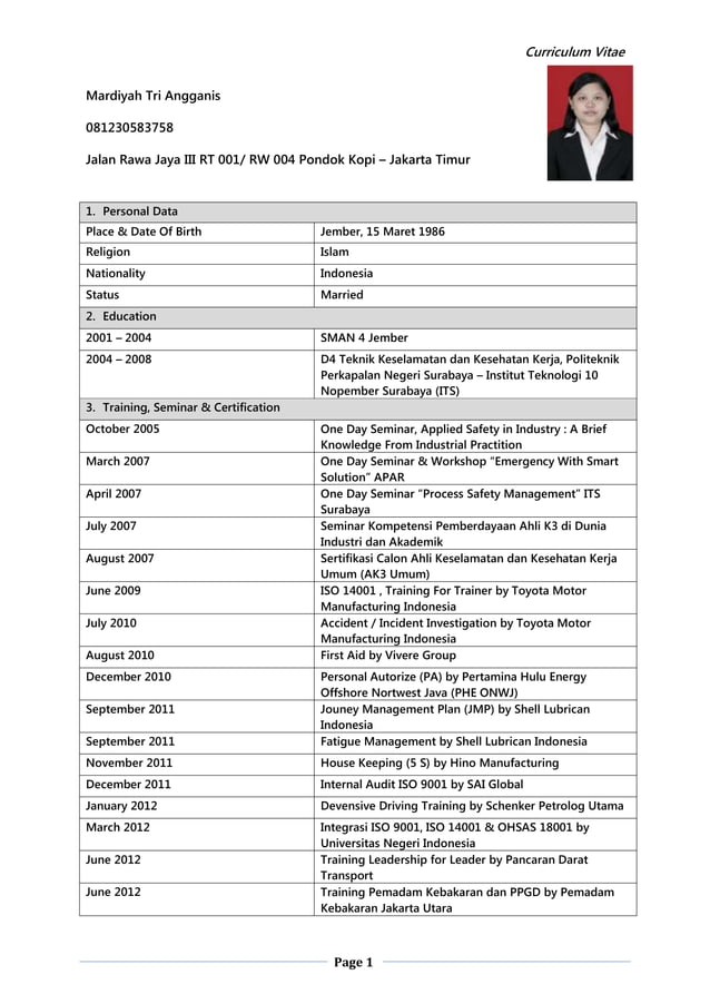 CV Anggi 2014 | PDF