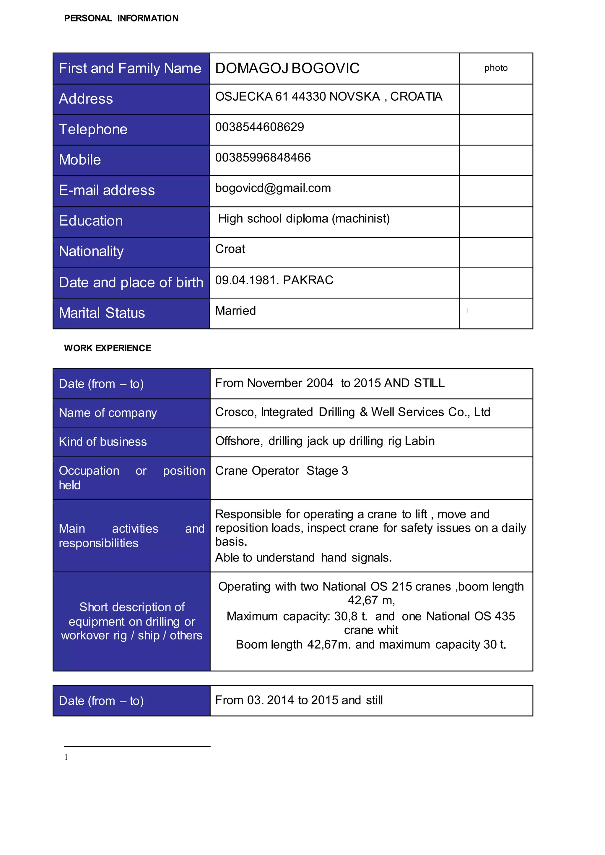CV TECHNICAL Domagoj Bogovic | DOCX