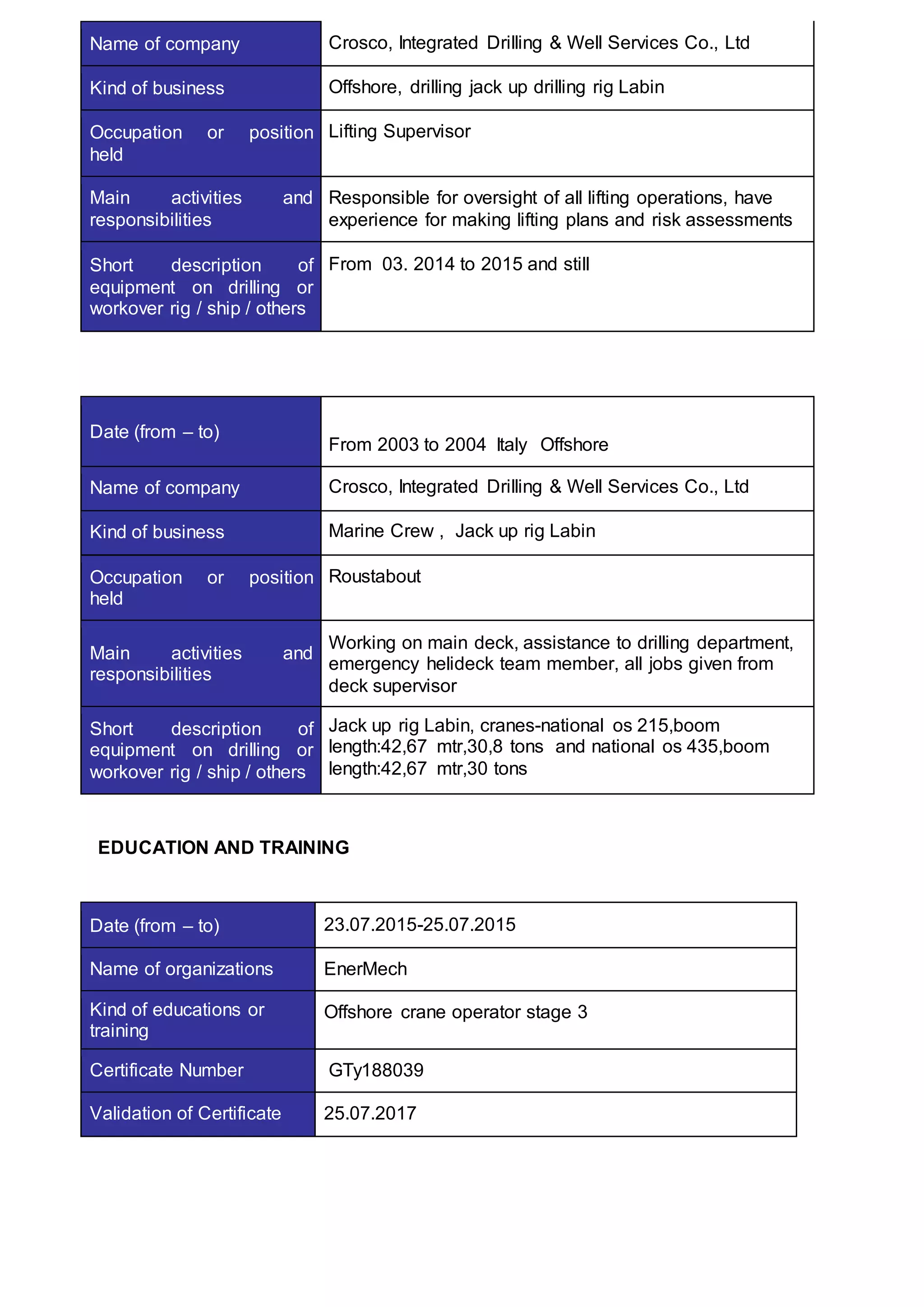 CV TECHNICAL Domagoj Bogovic | DOCX