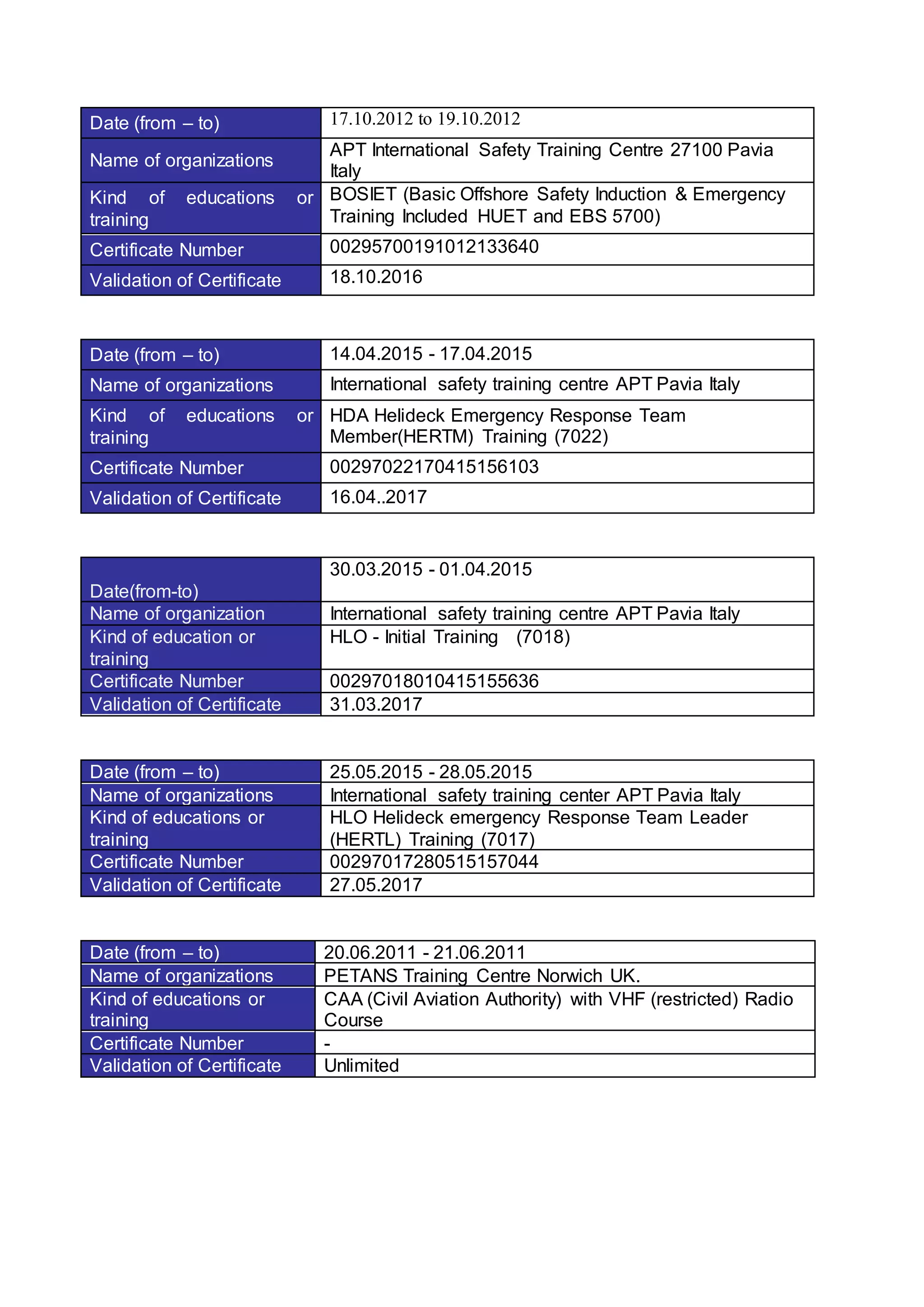 CV TECHNICAL Domagoj Bogovic | DOCX