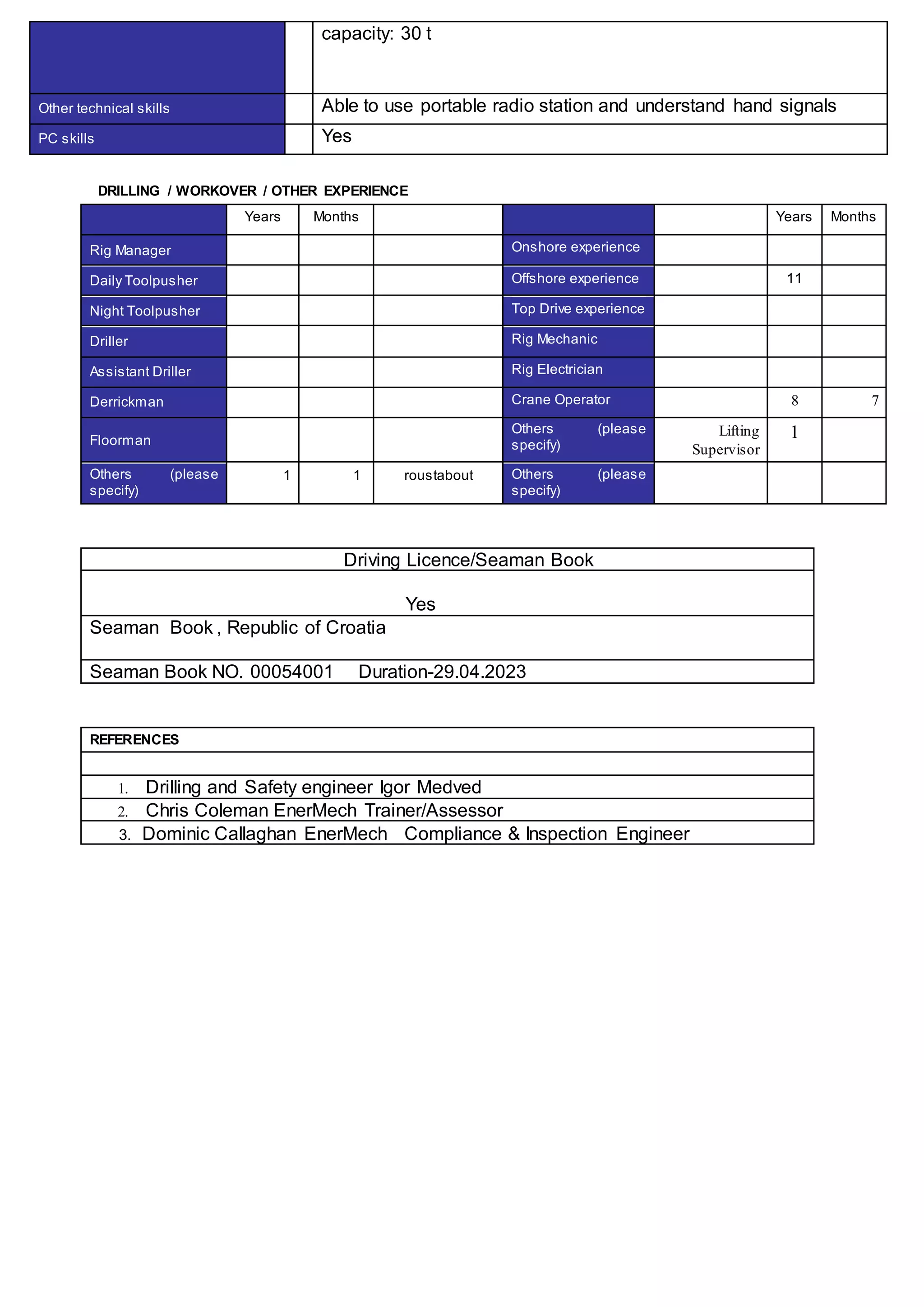 CV TECHNICAL Domagoj Bogovic | DOCX