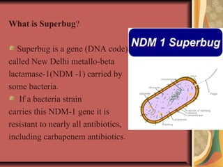 NDM-1 SUPERBUG | PPT