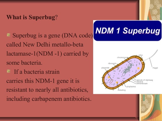 NDM-1 SUPERBUG
