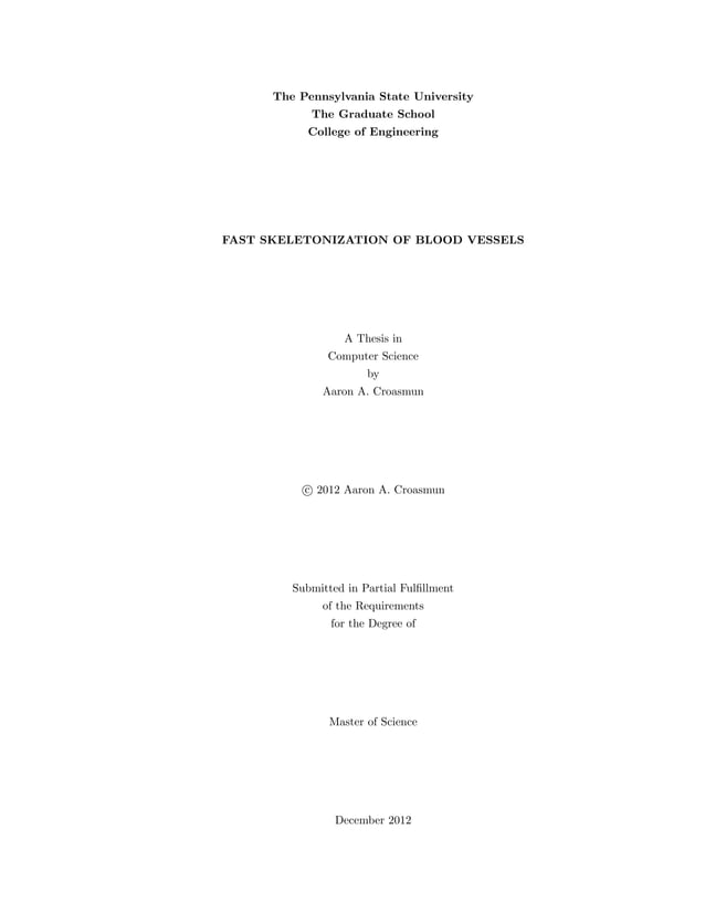 Fast Skeletonization of Blood Vessels | PDF