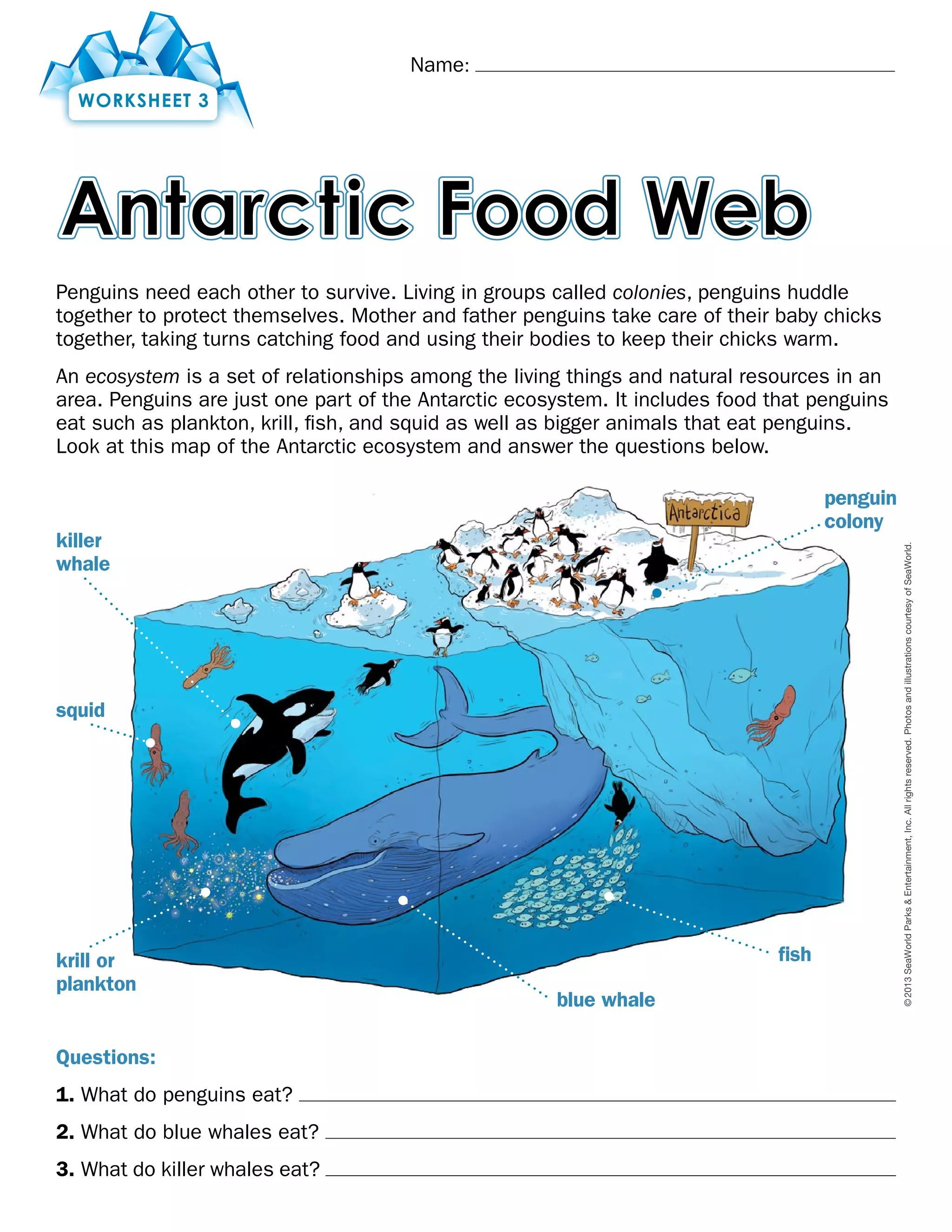 sw_antarctic_food_web_w3 | PDF