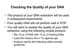 DNA_Extraction_Overview | PPT