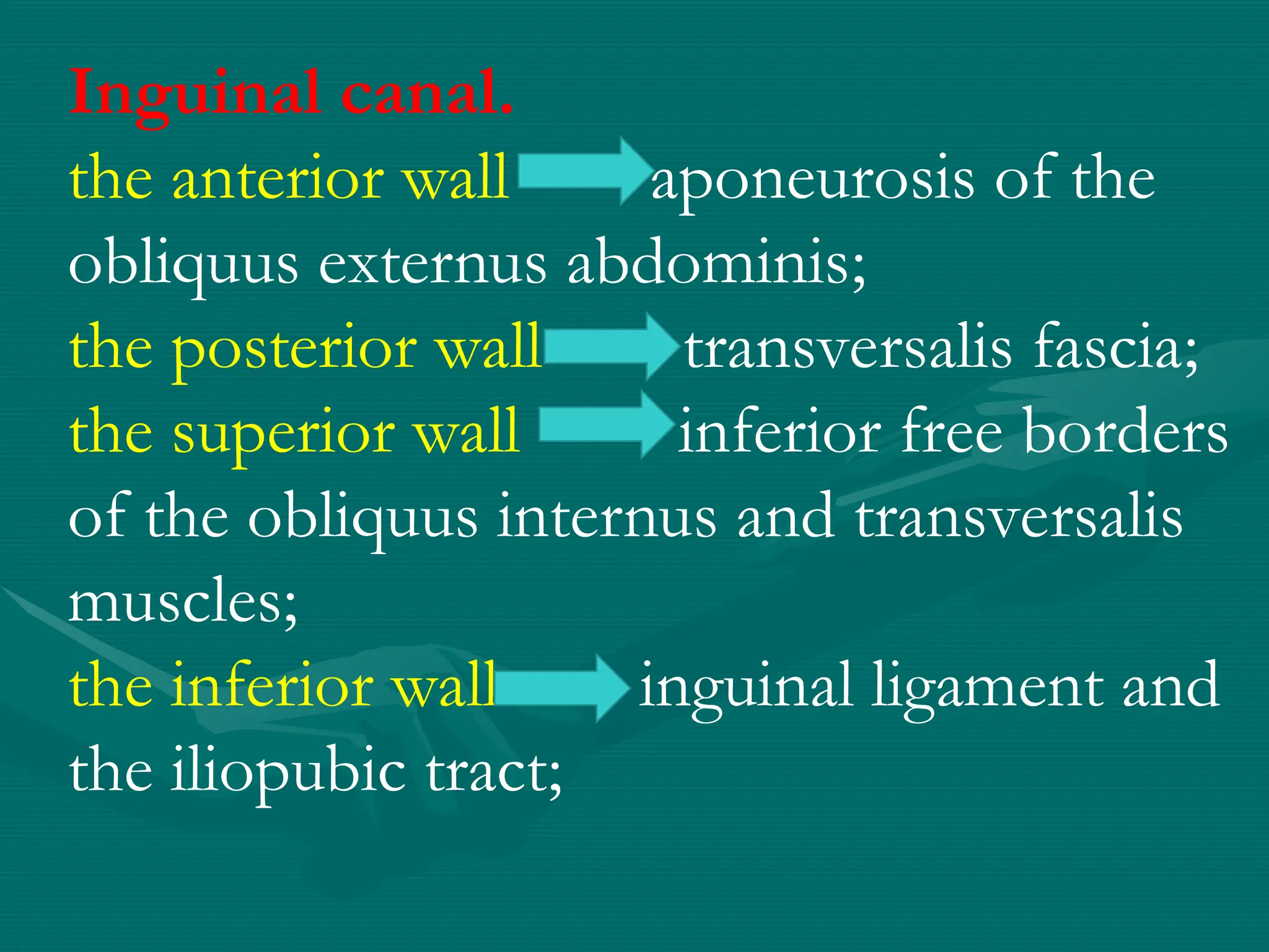 Abdominal wall hernia git system definition | PPT